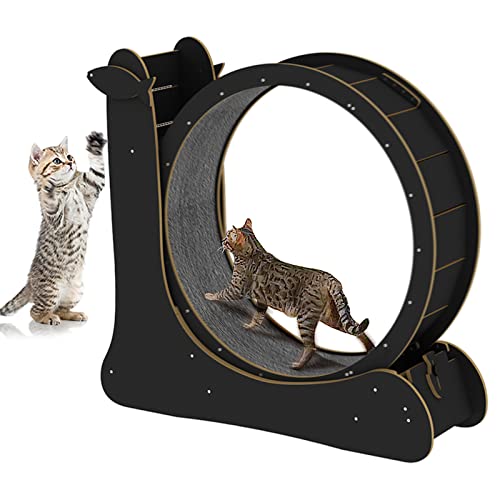 Amazon Best Sellers: Best Small Animal Exercise Wheels
