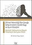 ・製造元:Ani Yayincilik