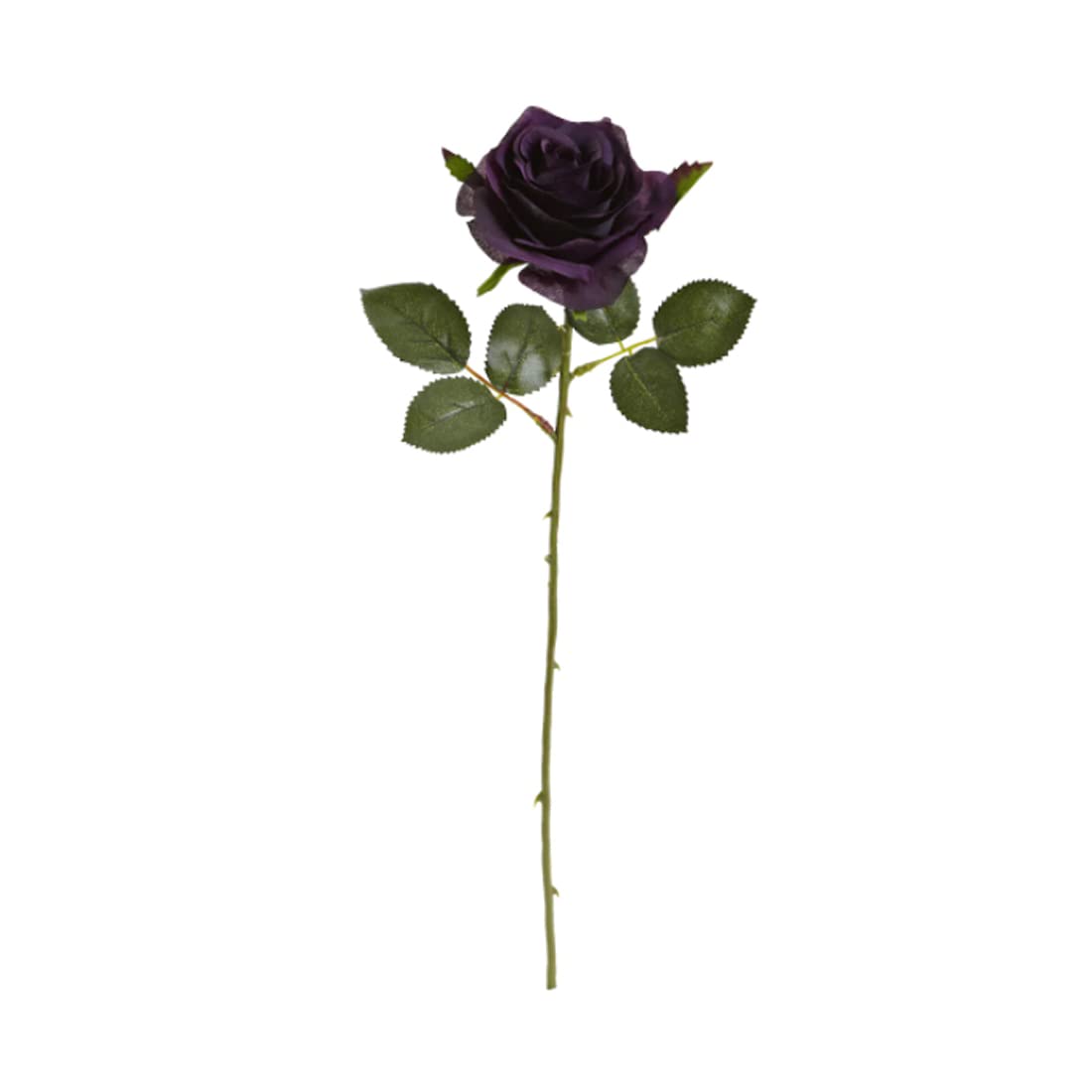 Purple Rose With Stem