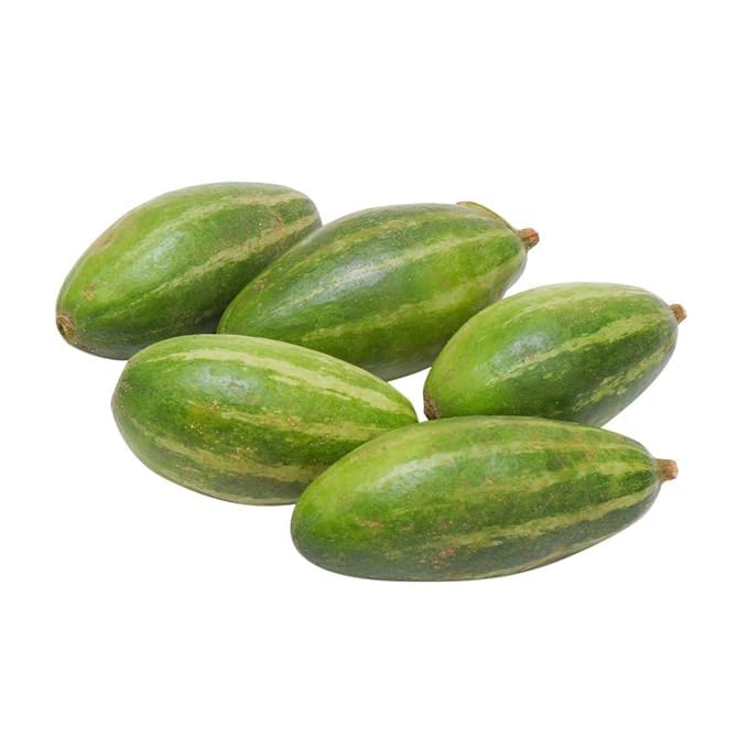 Hybrid Parwal Vegetable Seeds | Pointed Gourd Seeds | Parwal Plant ...