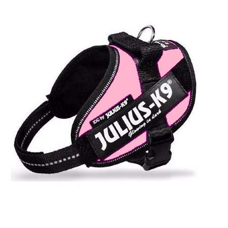 Julius K9 Mini Mini Preisvergleich – Die 15 besten Produkte im ...