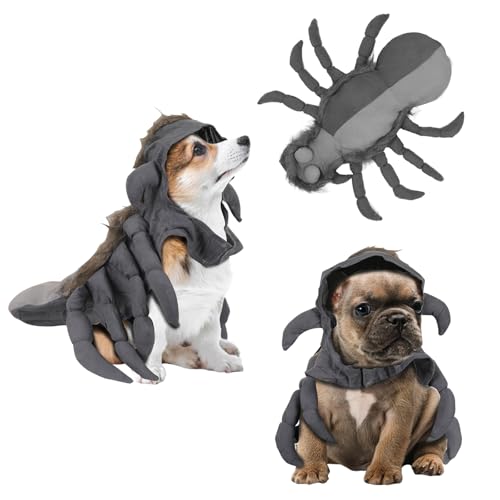 10 Best Dog Spider Costume