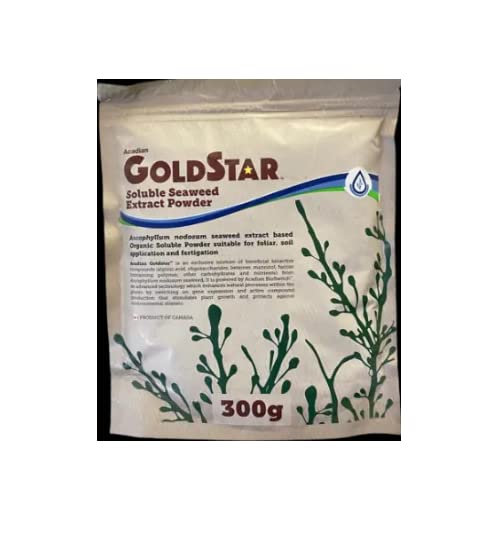 Acadian Goldstar 300gm. : Amazon.in: Health & Personal Care