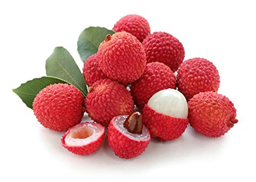 Creative Farmer Fruit Seeds Succulent Plants Lychee Lychy Litchi Seed ...
