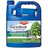 Amazon.com : BioAdvanced 12 Month Tree and Shrub Protect and Feed ...