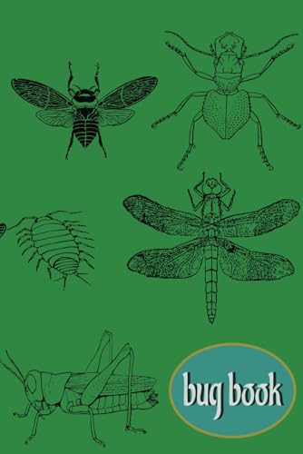 Fun Bug Gifts for Adults: Quirky and Unique Presents