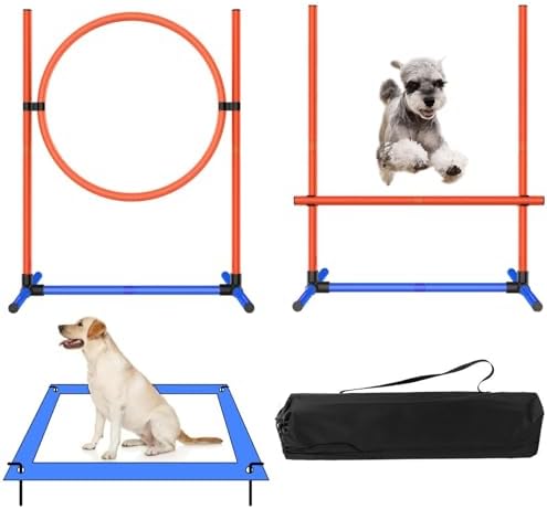 Amazon.com : AHAILUOO 3 Sets Dog Agility Training Equipment, Dog ...