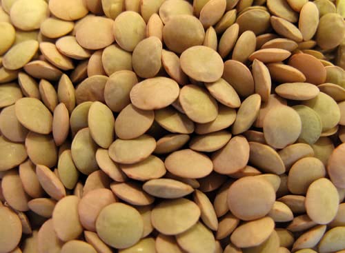 Amazon.com : DRIED LENTILS Beans | 20 LBS (Pounds) | USA Grown | Bulk ...