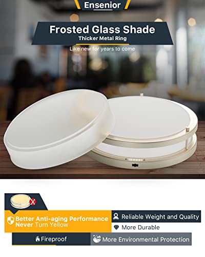 Snapklik.com : Glass 5CCT 10 Inch Hallway Light Fixtures Ceiling, LED ...