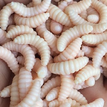 Fake Maggots - Maggots Fishing Bait - Brand Promotion 50PCS 2cm 0.3g ...