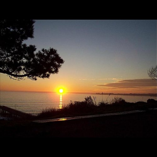 Play Down On My Knee (Mike Parlett) by Jade Sterling Wolf, Jr. on ...