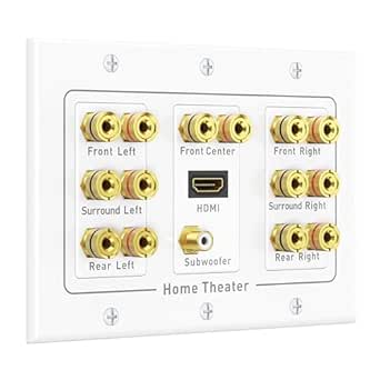 Cable Matters Triple Gang 7.1 Speaker Wall Plate with HDMI, Home ...