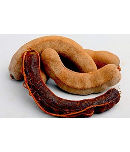 Amazon.com: BSD Organics Spicy Tamarind/Imalee/Puli/Sintha Pandu (1 ...