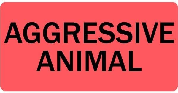 Amazon.com: Aggressive Animal Veterinary Labels/Stickers - 2” x 1,” 500 ...