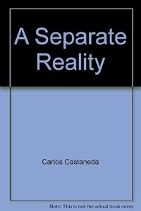 9780671802028: A Separate Reality: Further Conversations With Don Juan ...
