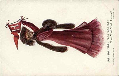 Harvard University College Girl College Girls Original Antique Postcard ...