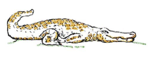 Center Enterprise B207 "PHOLIDOSAURUS" Stamps: Amazon.com: Industrial ...