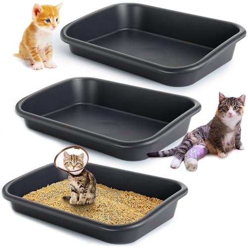 Senior Cat Litter Box – The 15 best products compared - Wild Explained