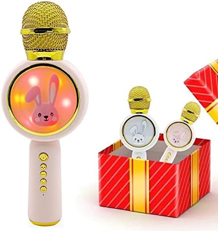 VRJTEC Wireless Handheld Multi-Function Bluetooth Singing Mike ...