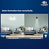 Buy Philips T-bulb Base B22 10-Watt LED Lamp (Pack of 4, Cool Day Light ...