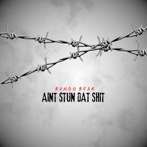 AINT STUN DAT SHIT by Bando Bear on Prime Music