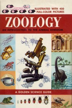 Zoology: An Introduction to the Animal Kingdom (A Golden Science Guide ...