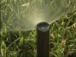 Watch Rain Bird 9SSTC1 Spray Nozzle, Side Strip Pattern, 8 x 11 - 9 x ...