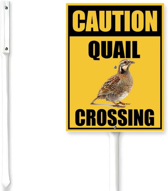 Amazon.com : Houseuse Quail Crossing Sign With Stake Aluminum Yard ...