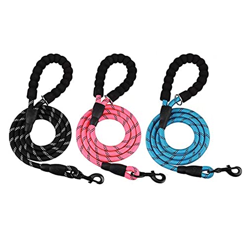 Pack Leashes – The 15 best products compared - Wild Explained