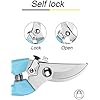 Amazon.com : Curve Gardening Scissor with Sharp Stainless Steel Blade ...