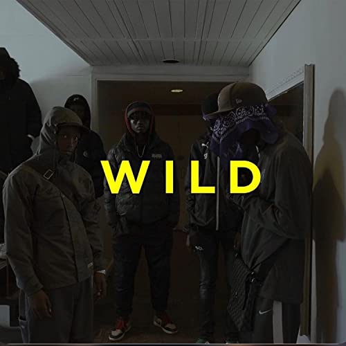 Play Wild by BURUKLYN BOYZ & Ajay on Amazon Music