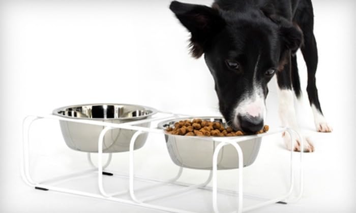 Elevated Dog Feeder Wire Elevated Dog Bowls, Raised Dog Bowl Stand,