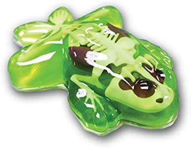 SLIMY Experiment Set Frog – Original Slime Set, Slime Laboratory, Award ...