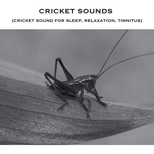 Play Cricket Sounds (Cricket Sound for Sleep, Relaxation, Tinnitus) by ...