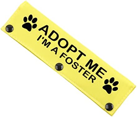 Amazon.com : JXGZSO Adopt Me I’m A Foster Leash Sleeve Wrap Adopt Me ...