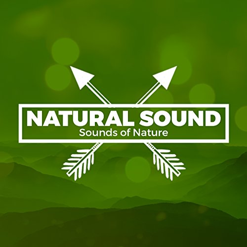 Amazon.com: Natural Sound Sounds of Nature : Sounds of Nature ...