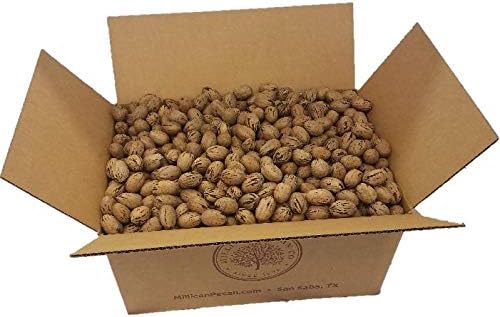 Amazon.com: 30 lb - Texas Squirrel Grade In Shell & Cracked Pecans Bulk ...