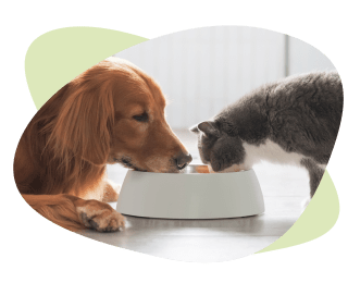 Knuspr Bio-Sortiment