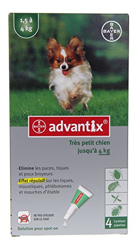 Stronghold Chien – Les 15 meilleurs produits dans la comparaison ...