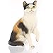 Amazon.com: Calico Cat Figurine : Home & Kitchen