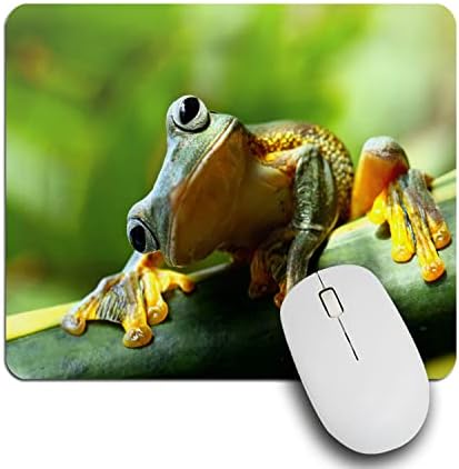 Amazon.com: IBILIU Mouse Pad Funny Tree Frog,Cute Green Frog Jungle ...