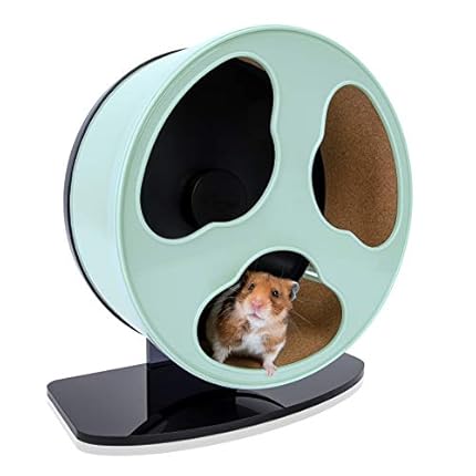 The 30 Best Small Animal Exercise Wheels of 2025 [Verified] - Cherry Picks