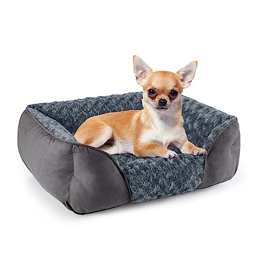 Small Dog Bed – The 15 best products compared - Wild Explained