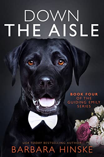 Amazon.com: Down the Aisle: Book Four of the Guiding Emily Series eBook ...