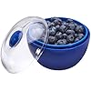 Amazon.com: Joie Berry Colander Pod wash, strain, serve and store ...