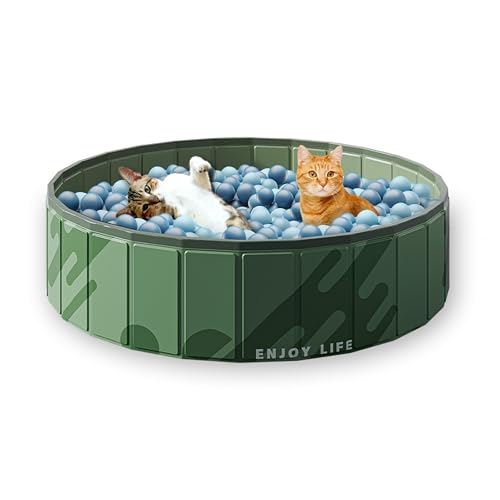 Cat Ball Pit – The 15 best products compared - Wild Explained