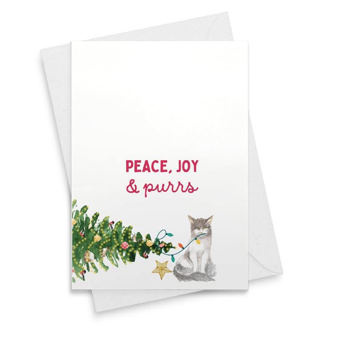 Amazon.com: Cat Christmas Cards, Holiday Card Set, Cats, Cat Stationery ...