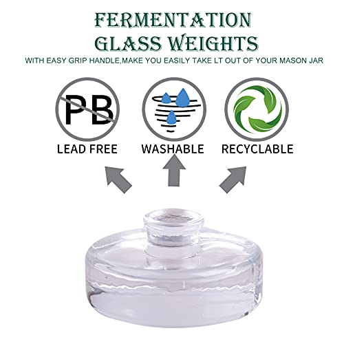 Snapklik.com : Eleganttime 4 Pack Easy Grip Handle Glass Fermentation ...