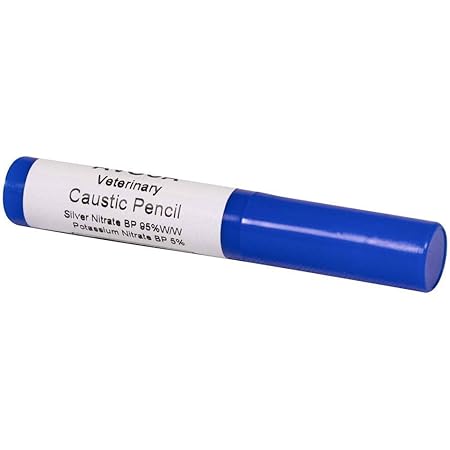 Vet Caustic Silver Nitrate Styptic Pencil 1 Pack : Amazon.co.uk: Pet ...