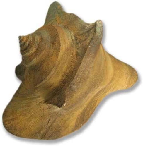 Amazon.com : Animals Deep Sea Shell Statue : Patio, Lawn & Garden